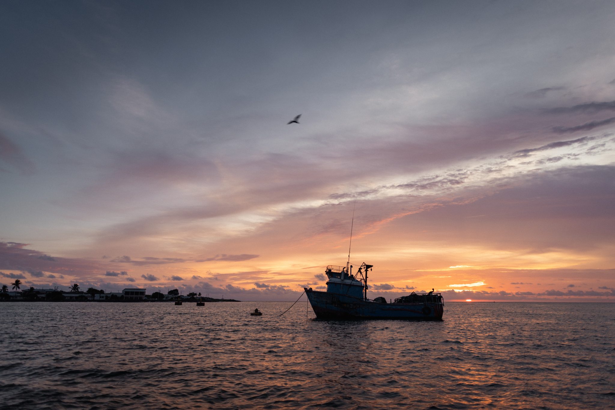 CIAPP aprueba nuevos proyectos APP y fortalece mecanismos de ...